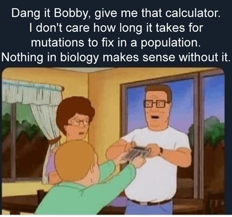 Dangit Bobby R Creation