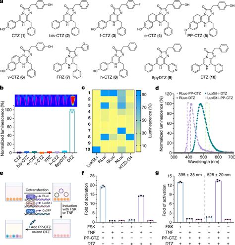 High Substrate Specificity Of De Novo Luciferases Allows Multiplexed