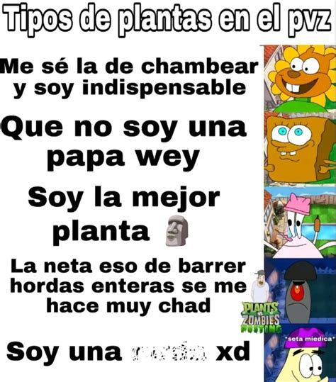 Top Memes De Pvz En Español Memedroid