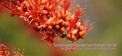 Teacher Dee Corner Added A New Photo Teacher Dee Corner