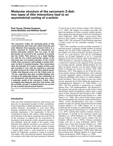 Pdf Molecular Structure Of The Sarcomeric Z Disk Twotypes Of Titin Interactions Lead To An
