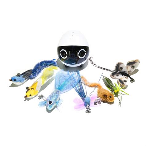 Rola Mini Rola Mini Cat Teaser Bundle Fidos Favorite Robot Companion Touch Of Modern