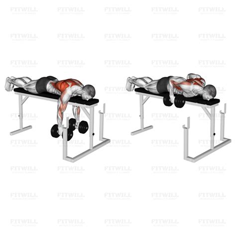 Dumbbell Lying Close Grip Parallel Row On Rack Exercise Guide