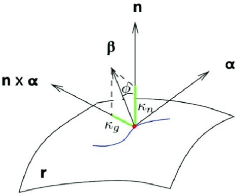 Schematic Diagram Of Surface Curvature Download Scientific Diagram