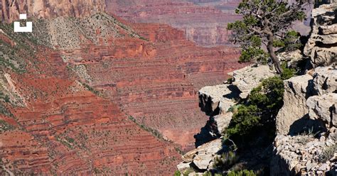 산 정상에서 바라본 그랜드 캐년의 모습 사진 Unsplash의 무료 미국 이미지