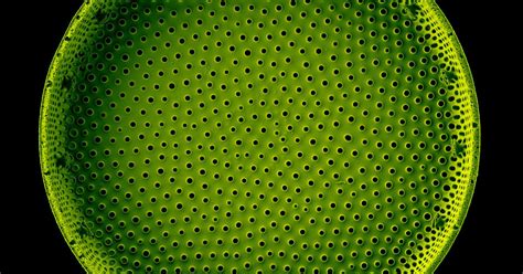 Nano Architecture Are Na