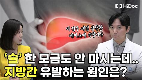 지방간은 몸 속 지방때문 지방간 원인 제대로 알기 ｜내과 의사 김용권 Youtube
