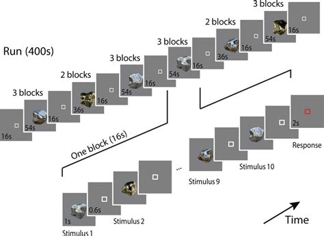 The Stimulus Presentation Protocol In Binocular Gloss Session For 1