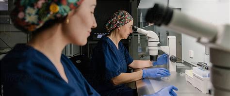 How Normal Is A Normal Chest X Ray Does A Comprehensive Artificial Intelligence Model Identify