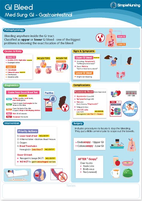 Med Surg Gi Gastrointestinal Gi Bleed Gi Bleed Complications Causes And Risks Diagnostics