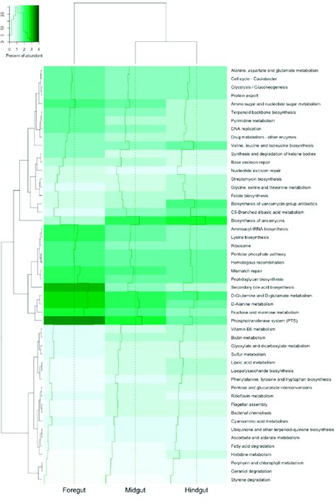 hierarchical clustering graphics of the gene functions distance of