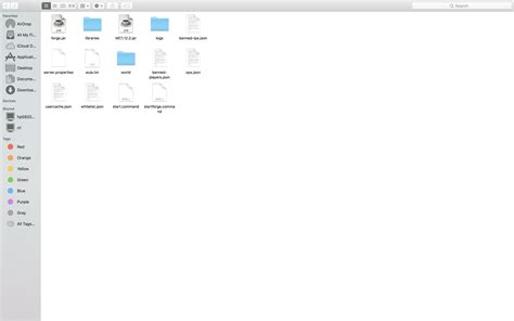 I Can T Run The Forge File In A Minecraft Forge Server Support Bug Reports Forge Forums
