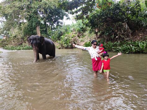 Elephant Bathing In Kandy Sri Lanka Docdivatraveller