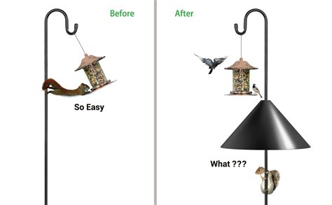 Amazon.com : GERYMU 19 Inch Large Squirrel Baffle for Bird Feeder Pole, Squirrels Baffle for ...