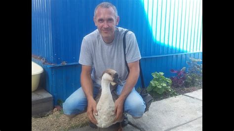 мини бассейн Youtube