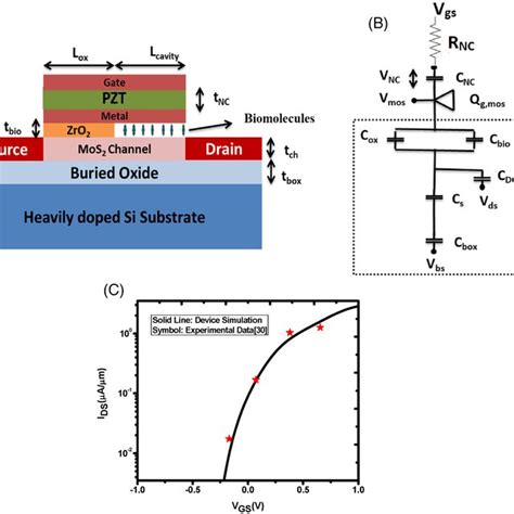 A Typical Finfet Schematic For Tcad Variability Simulation B