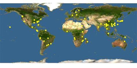 Theaceae Creationwiki The Encyclopedia Of Creation Science