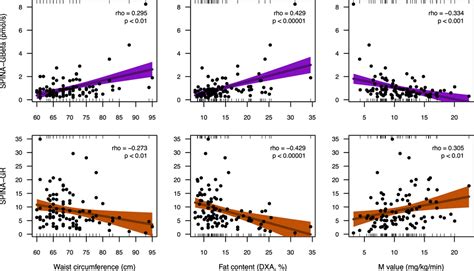 Cybernetic Modelling Of Insulin Glucose Homeostasis Delivers Improved Methods For Metabolic