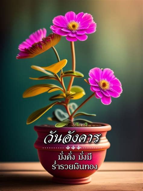วันอังคาร🌿💗 วันอังคาร สวัสดีตอนเช้า ดอกไม้สีชมพู