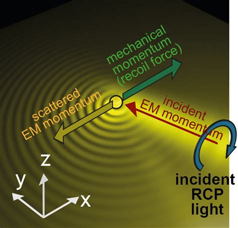 Nano Optics And Near Field Spectroscopy Publications