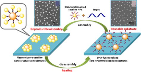 Construction Of Plasmonic Coresatellite Nanostructures On Substrates