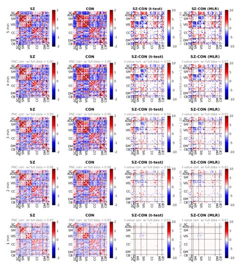 A B Mean Functional Network Connectivity Fnc For Patients With
