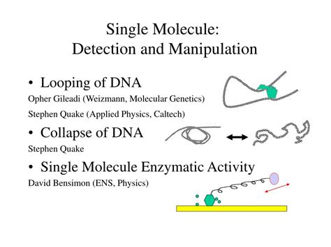 Ppt Single Molecule Detection And Manipulation Powerpoint
