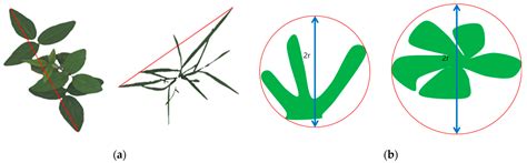 Unifoliate Palmately Compound Leaf