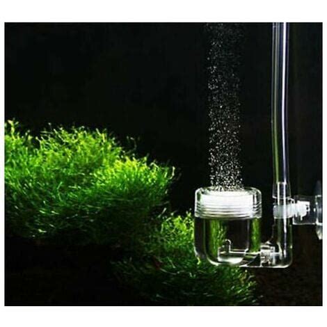 DIY U Shaped 4 In 1 Co2 Diffuser For DIY Co2 Bubble Valve System Against Planted Aquarium
