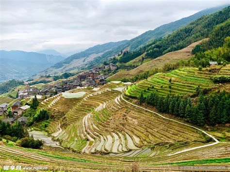 龙胜龙脊梯田风光摄影图 自然风景 自然景观 摄影图库 昵图网