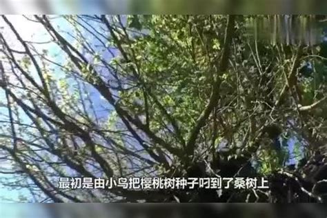 六个不可思议的自然景观，震惊世人！