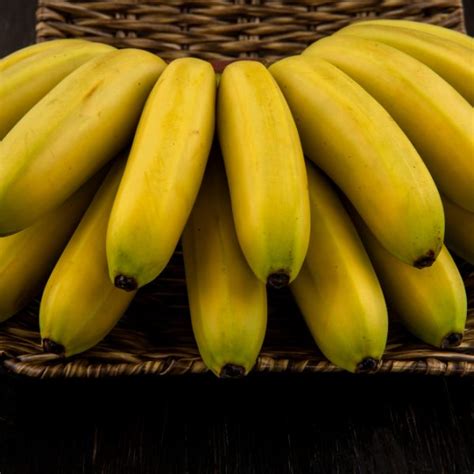 What Is Speculative Risk Definition Examples And Key Differences Money Shark