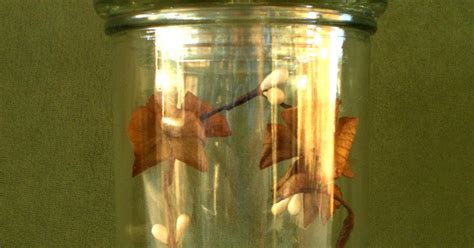 Todolwen What A Difference A Jar Makes