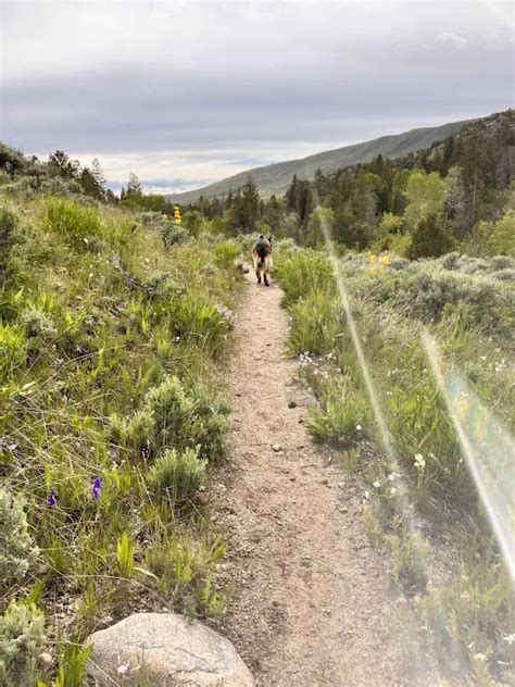 Boulder Lake Campground A Serene Escape In Pinedale Wy