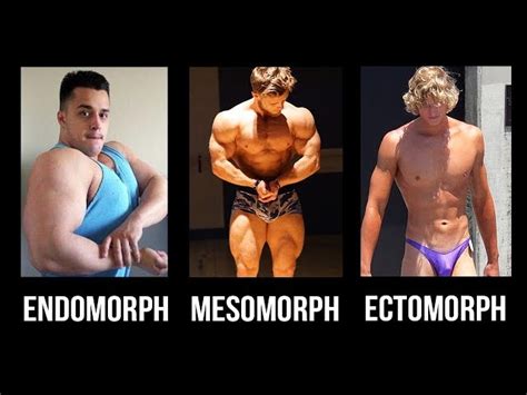 Ectomorph Mesomorph Endomorph Which Body Type Made