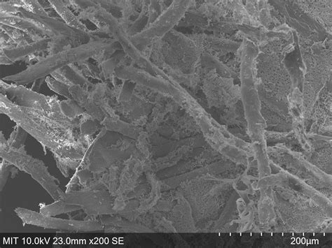 Inline Hepa 20nmau Top 0011 Raw