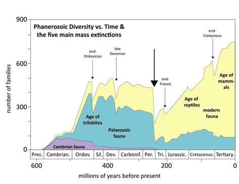 Unraveling The Mysteries Of Mass Extinction Pogil Answers Revealed
