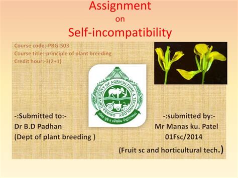 Self Incompatibility Ppt Pptx
