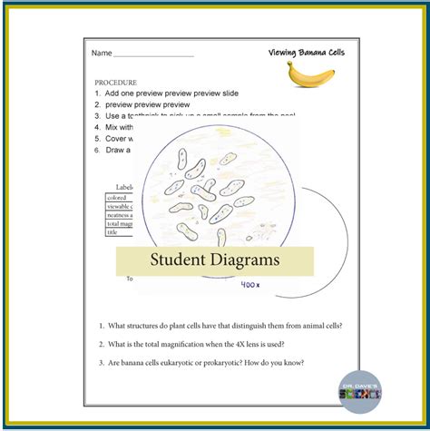 Eukaryotic Plant Cell Under Microscope