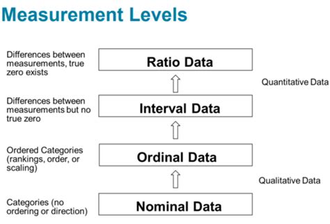 Flashcard Chapter 1 Describing Data Graphical Quizlet