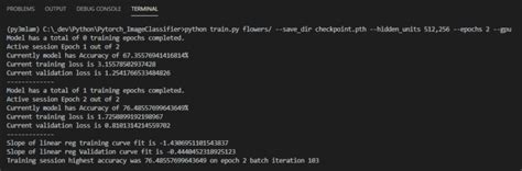 Pytorch Classifier Complicitmatter