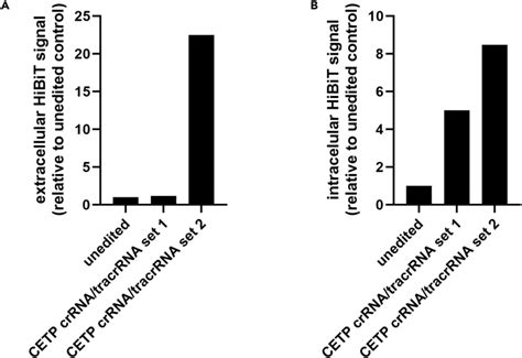 Protocol For Hibit Tagging Endogenous Proteins Using Crispr Cas9 Gene