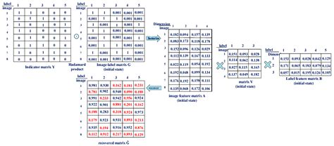 Exploring Weighted Dual Graph Regularized Non Negative Matrix Tri Factorization Based