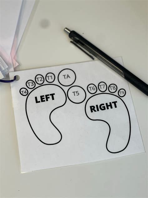 Podiatry Toe Modifier L Medical Billing L Podiatry L Modifiers L Cheat Sheet L Etsy