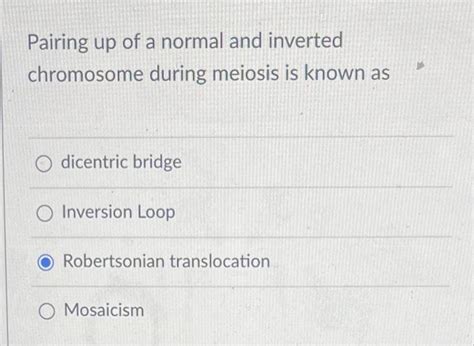 Solved Pairing Up Of A Normal And Inverted Chromosome During