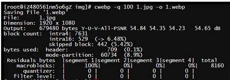 nginx lua libwebp implementation for server side automatic image