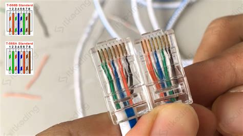 Urutan Warna Kabel Cross Fungsi Dan Penjelasan Lengkap