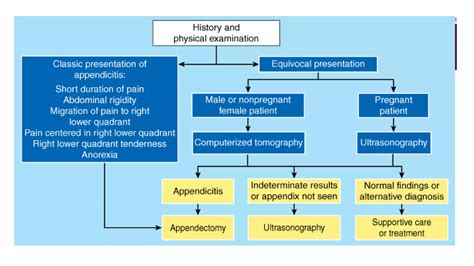 Appendicitis Ppt Digestive Disorders Diseases And Conditions