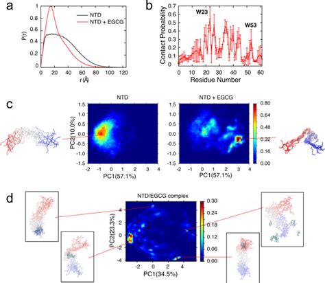 Egcg Binds Intrinsically Disordered N Terminal Domain Of P53 And Disrupts P53 Mdm2 Interaction Pmc