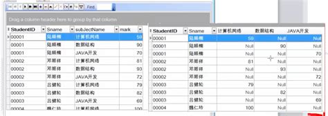 学习笔记 18 mysql数据库开发教程 使用视图实现行列转换 csdn博客